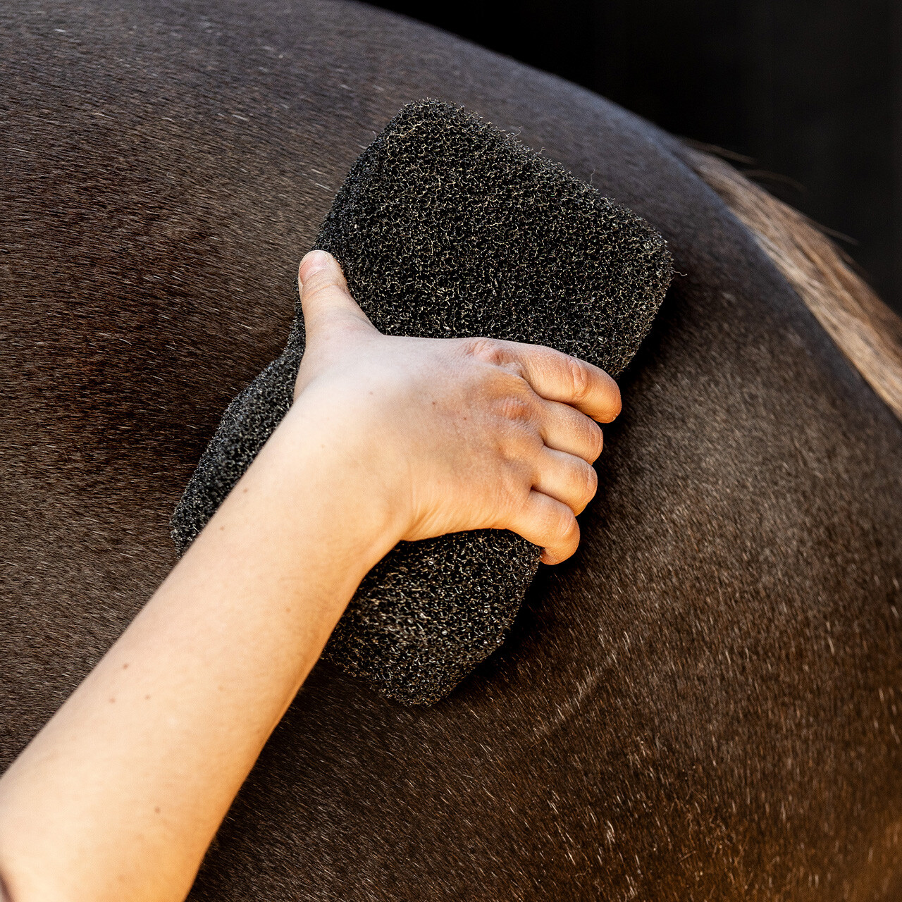 QHP Equi super shiner – ValleyHorsewear